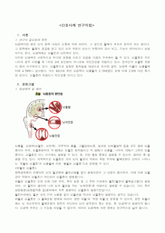 뇌경색 case 레포트 자료