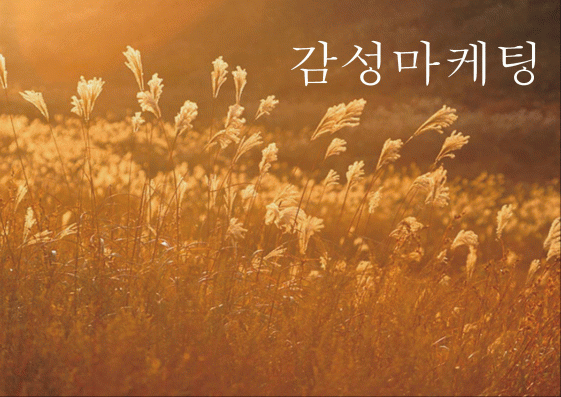 감성마케팅,오리온초코파이,마케팅,브랜드,브랜드마케팅,기업,서비스마케팅,글로벌,경영,시장,사례,swot