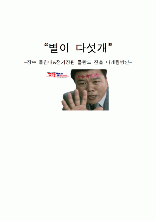 “별이 다섯개” -장수 돌침대&전기장판 폴란드 진출 마케팅방안