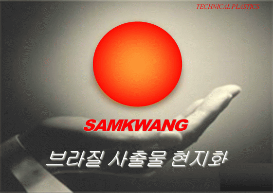 브라질 사출물 현지화