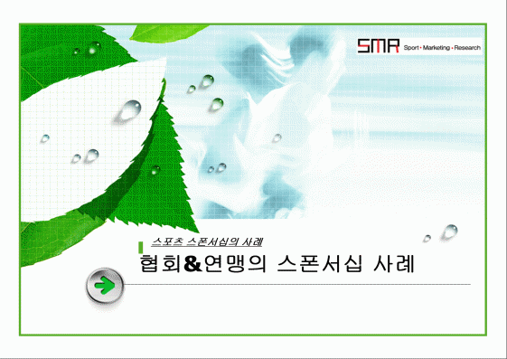 [사회과학] 스포츠마케팅,스폰서쉽,마케팅,브랜드,브랜드마케팅,기업,서비스마케팅,글로벌,경영,시장,사례