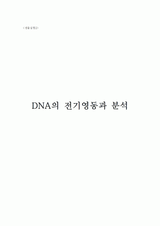 DNA의 전기영동과 분석