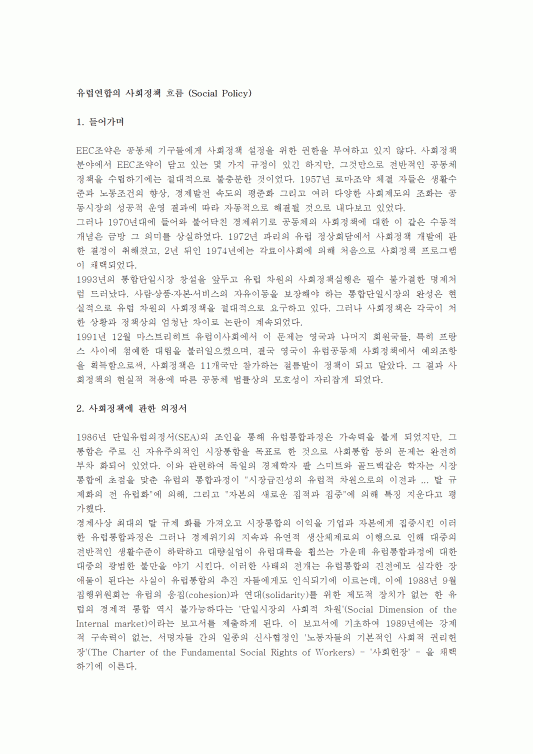 유럽연합의 사회정책 흐름 (Social Policy)