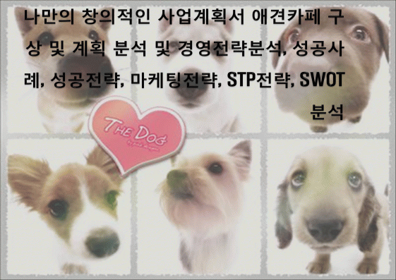 나만의 창의적인 사업계획서 애견카페 구상 및 계획 분석 및 경영전략분석, 성공사례, 성공전략, 마케팅전략, STP전략, SWOT분석