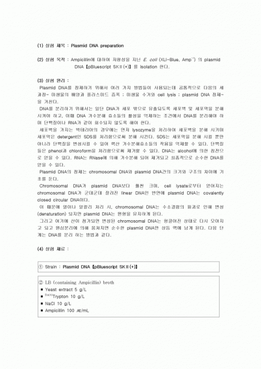 [생명공학] Plasmid DNA preparation