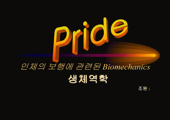 생체역학 레포트