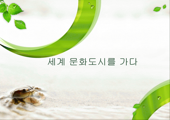 세계문화도시를가다 - 도시