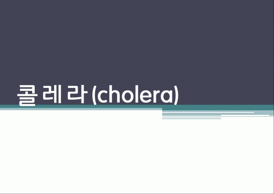 콜레라 레포트 자료