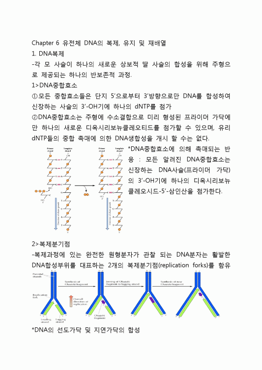 chapter 6 유전체 dna의 복제(첫번째)