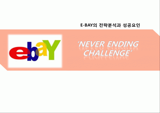 e-bay분석 레포트 자료