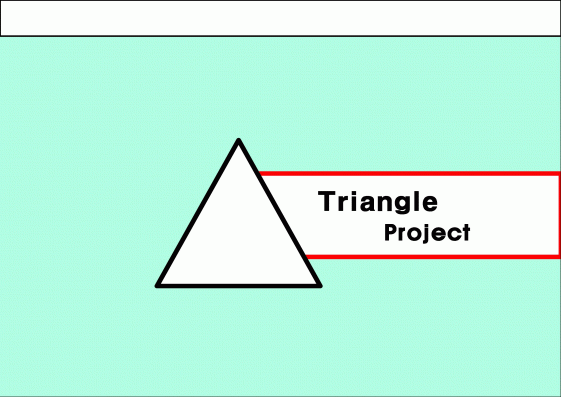 Triangle Project 레포트 자료