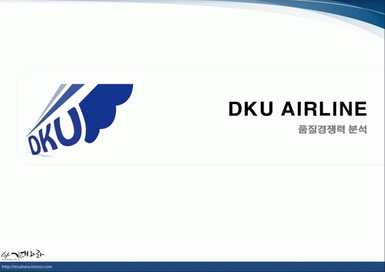 DKU AIRLINE,마케팅,브랜드,브랜드마케팅,기업,서비스마케팅,글로벌,경영,시장,사례,swot,stp,4p