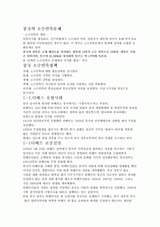 중국의 소수민족문제