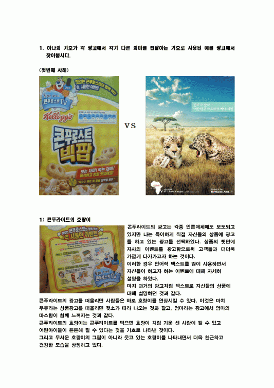 광고이미지 레포트 자료