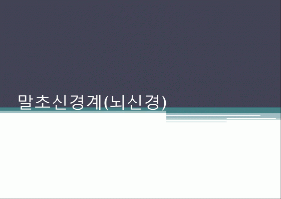 말초신경계 레포트 자료