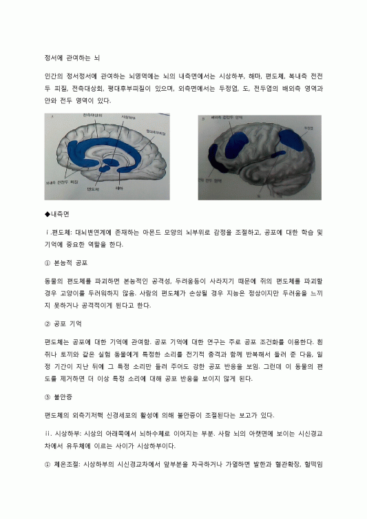 정서에 관여하는 뇌에 대해서