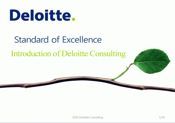 딜로이트(Deloitte) Standard of Excellence, Introduction of Deloitte Consulting