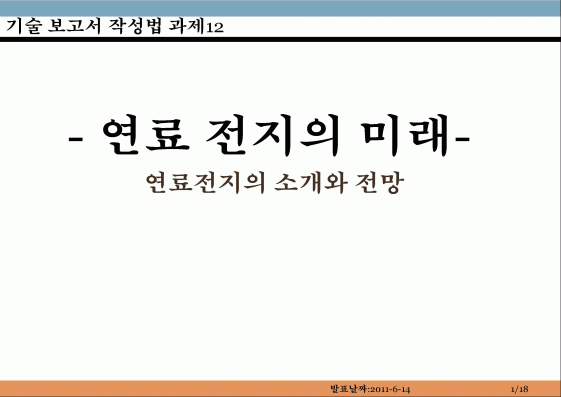 연료 전지의 미래 - 연료전지의 소개와 전망