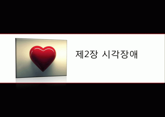 제2장 시각장애