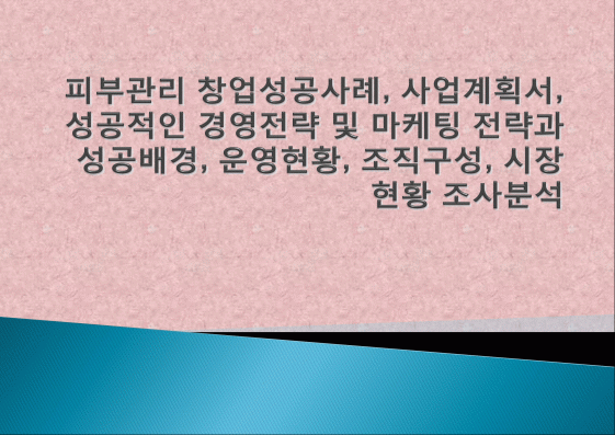 피부관리 창업성공사례, 사업계획서, 성공적인 경영전략 및 마케팅 전략과 성공배경, 운영현황, 조직구성, 시장현황 조사분석