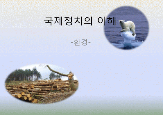 국제정치의 이해 -환경