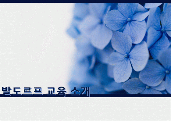 발도르프 교육 소개,마케팅,브랜드,브랜드마케팅,기업,서비스마케팅,글로벌,경영,시장,사례,swot,stp,4p