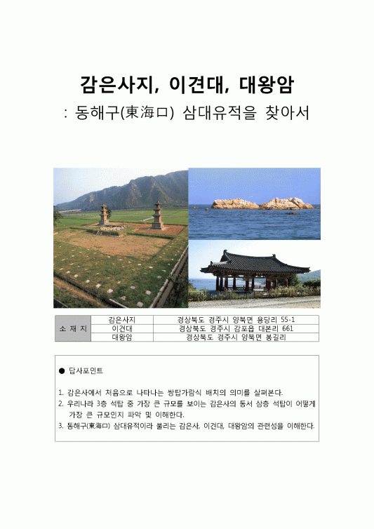 감은사지, 이견대, 대왕암,마케팅,브랜드,브랜드마케팅,기업,서비스마케팅,글로벌,경영,시장,사례,swot,stp,4p