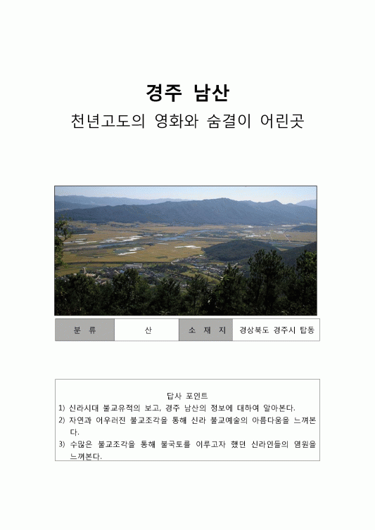 [사회과학] 경주 남산,마케팅,브랜드,브랜드마케팅,기업,서비스마케팅,글로벌,경영,시장,사례,swot,stp,4p