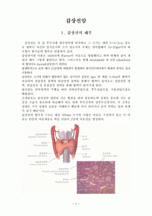 [의약학] 갑상선암