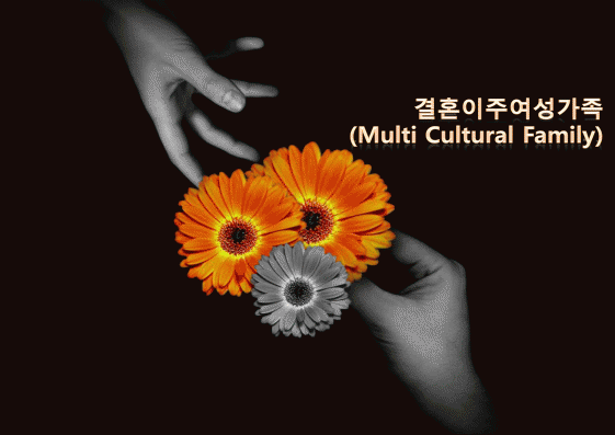 결혼이주여성(이주결혼여성)가족의 정의 및 발생원인, 문제점과 해결방안(가족치료법) 및 관련법안