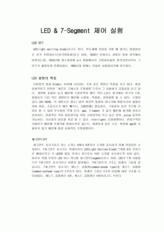 마이크로 세그먼트 & LED
