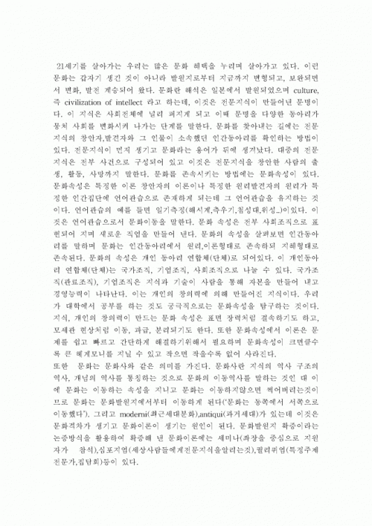[서양문화사] 문화속성