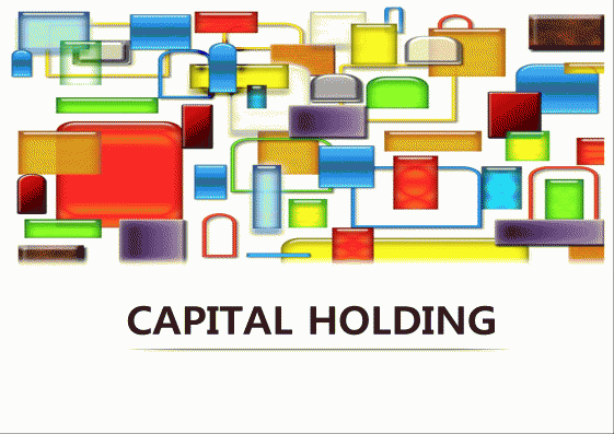 [MIS 사례] 캐피틀홀딩사 (CAPITAL HOLDING)