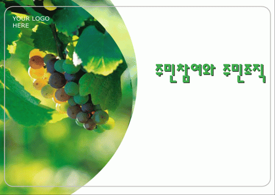 주민참여와 주민조직