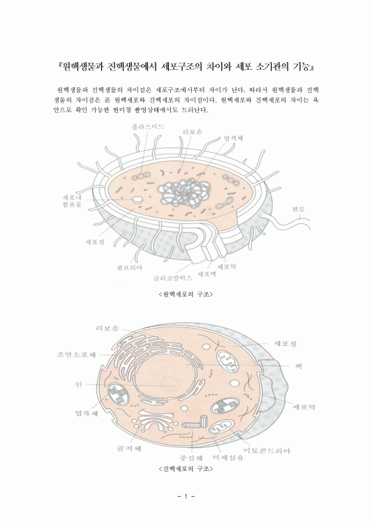 세포구조의 차이와 영향 『원핵생물과 진핵생물에서 세포구조의 차이와 세포 소기관의 기능』 & 『미생물이 인간의 생활에 미치는 영향』
