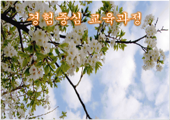 [논문] 경험중심 교육과정
