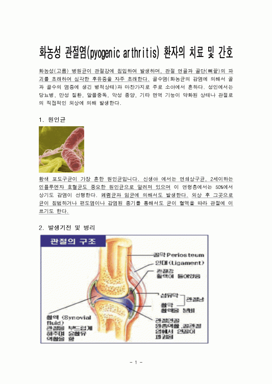 화농성 관절염(pyogenic arthritis) 환자의 치료 및 간호