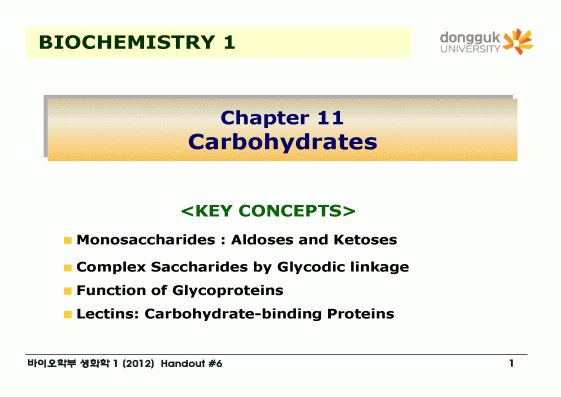 Carbohydrates 레포트 자료
