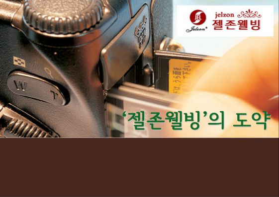 젤존 레포트 자료