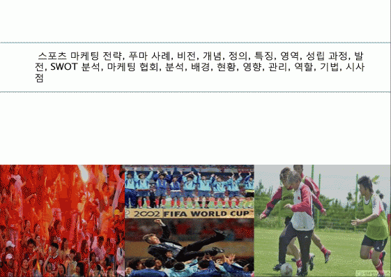 스포츠 마케팅 전략, 푸마 사례, 비전, 개념, 정의, 특징, 영역, 성립 과정, 발전, SWOT 분석, 마케팅 협회, 분석, 배경, 현황, 영향, 관리, 역할, 기법, 시사점