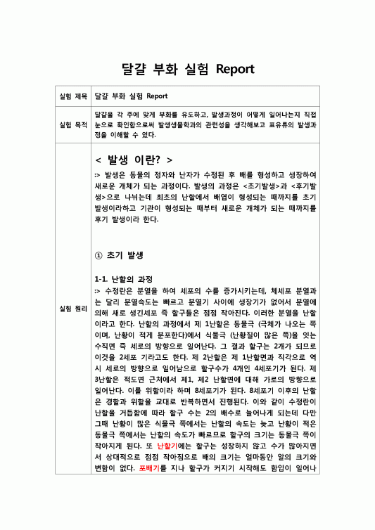 달걀 부화 실험으로 보는 발생과정 연구 Report