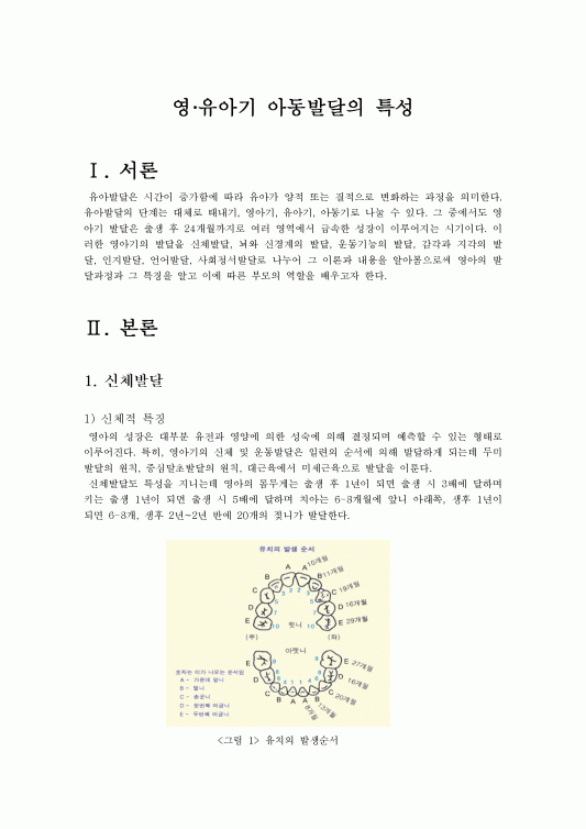 영·유아기 아동발달의 특성