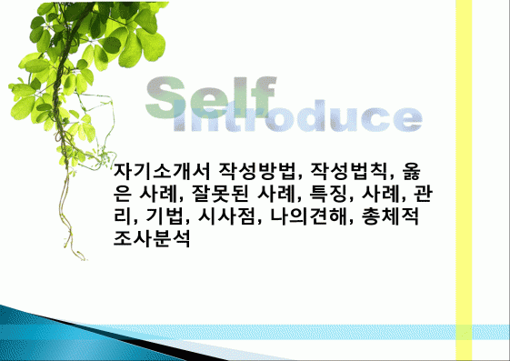 자기소개서 작성방법, 작성법칙, 옳은 사례, 잘못된 사례, 특징, 사례, 관리, 기법, 시사점, 나의견해, 총체적 조사분석