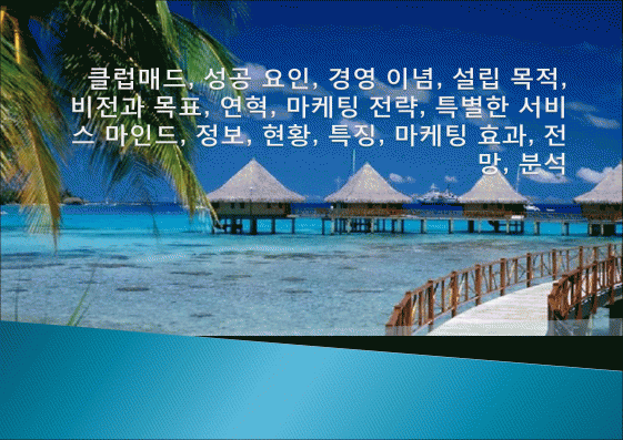 클럽매드, 성공 요인, 경영 이념, 설립 목적, 비전과 목표, 연혁, 마케팅 전략, 특별한 서비스 마인드, 정보, 현황, 특징, 마케팅 효과, 전망, 분석