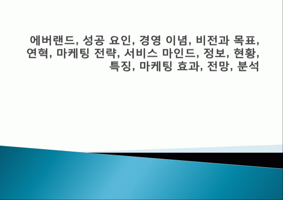 에버랜드, 성공 요인, 경영 이념, 비전과 목표, 연혁, 마케팅 전략, 서비스 마인드, 정보, 현황, 특징, 마케팅 효과, 전망, 분석