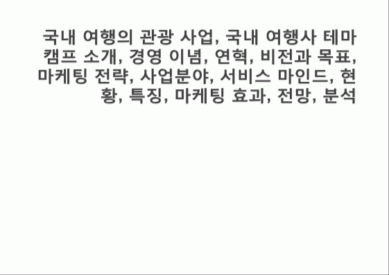 국내 여행의 관광 사업, 국내 여행사 테마캠프 소개, 경영 이념, 연혁, 비전과 목표, 마케팅 전략, 사업분야, 서비스 마인드, 현황, 특징, 마케팅 효과, 전망, 분석