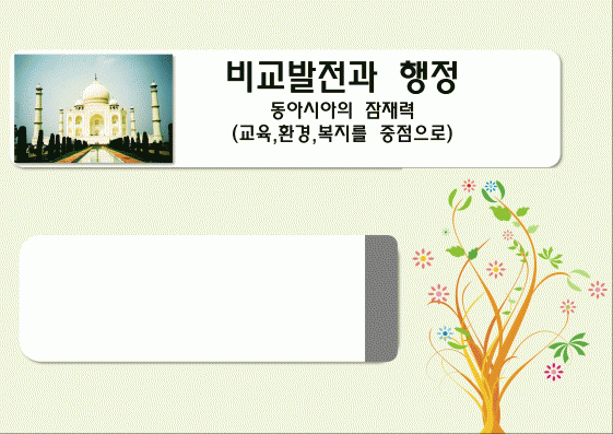 인도탐방기 - 비교발전과 행정 동아시아의 잠재력 (교육,환경,복지를 중점으로)