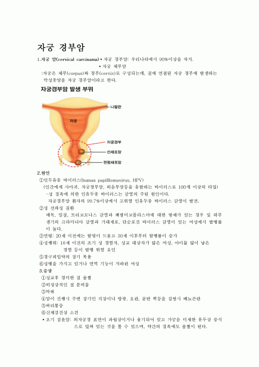 자궁 경부암 레포트 자료