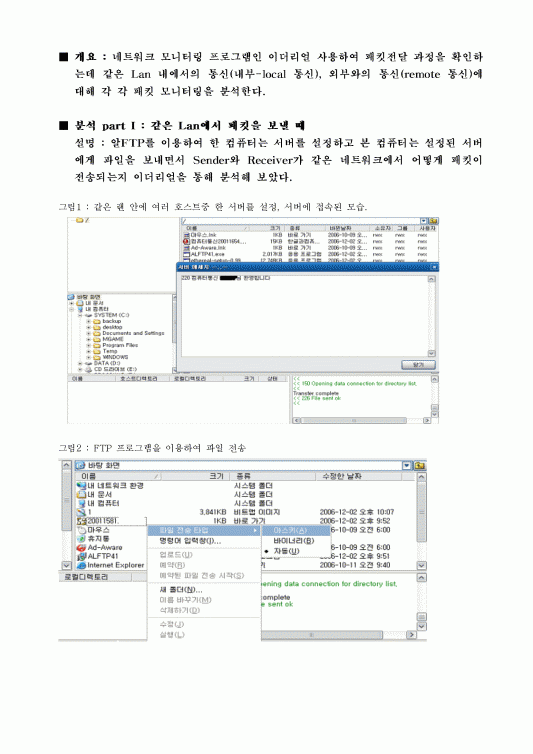 이더리얼패킷 분석
