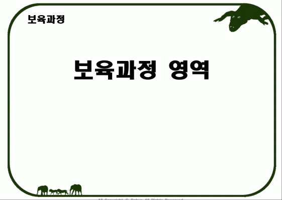 보육과정영역
